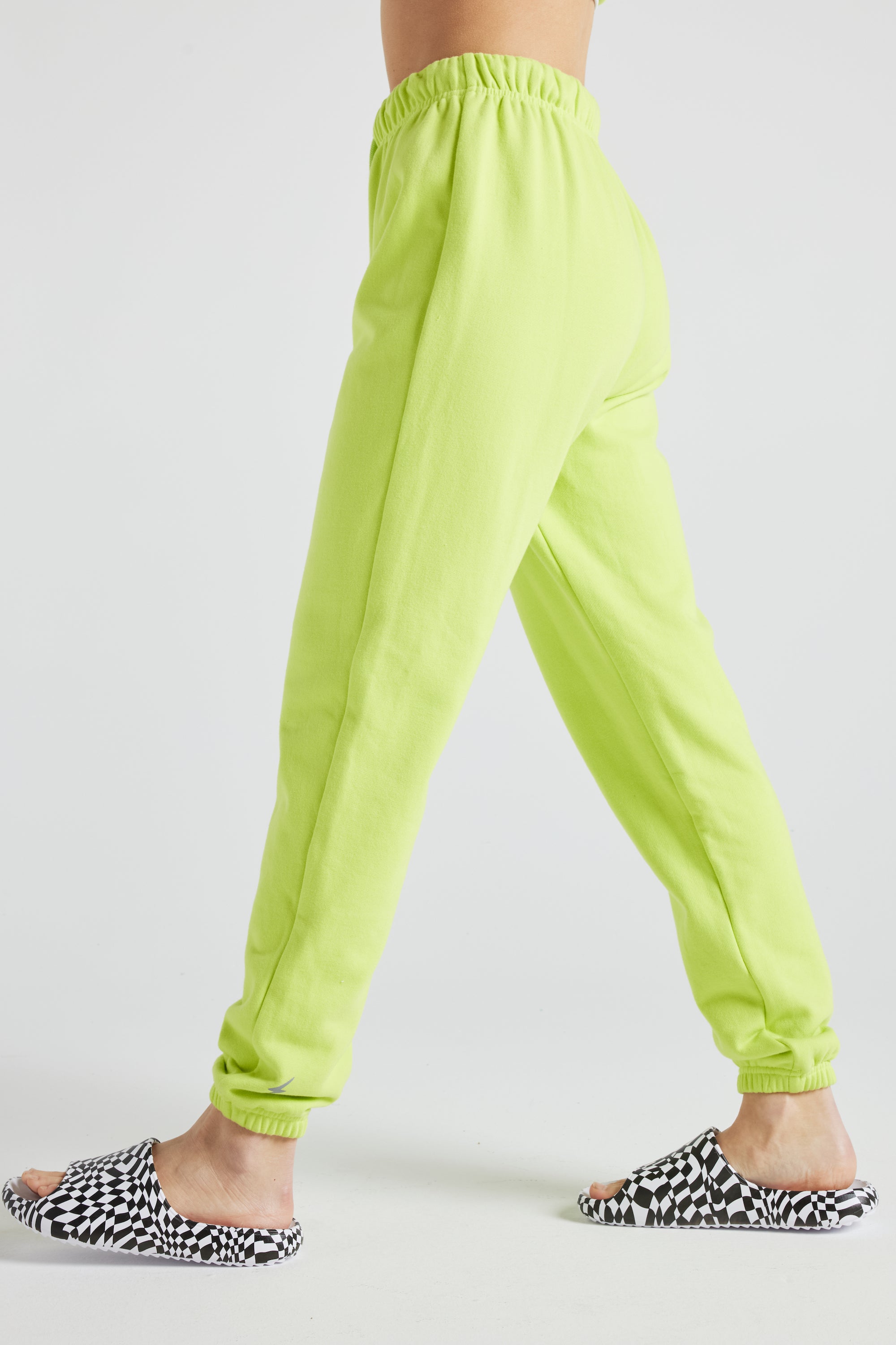 Electric Fleece Joggers